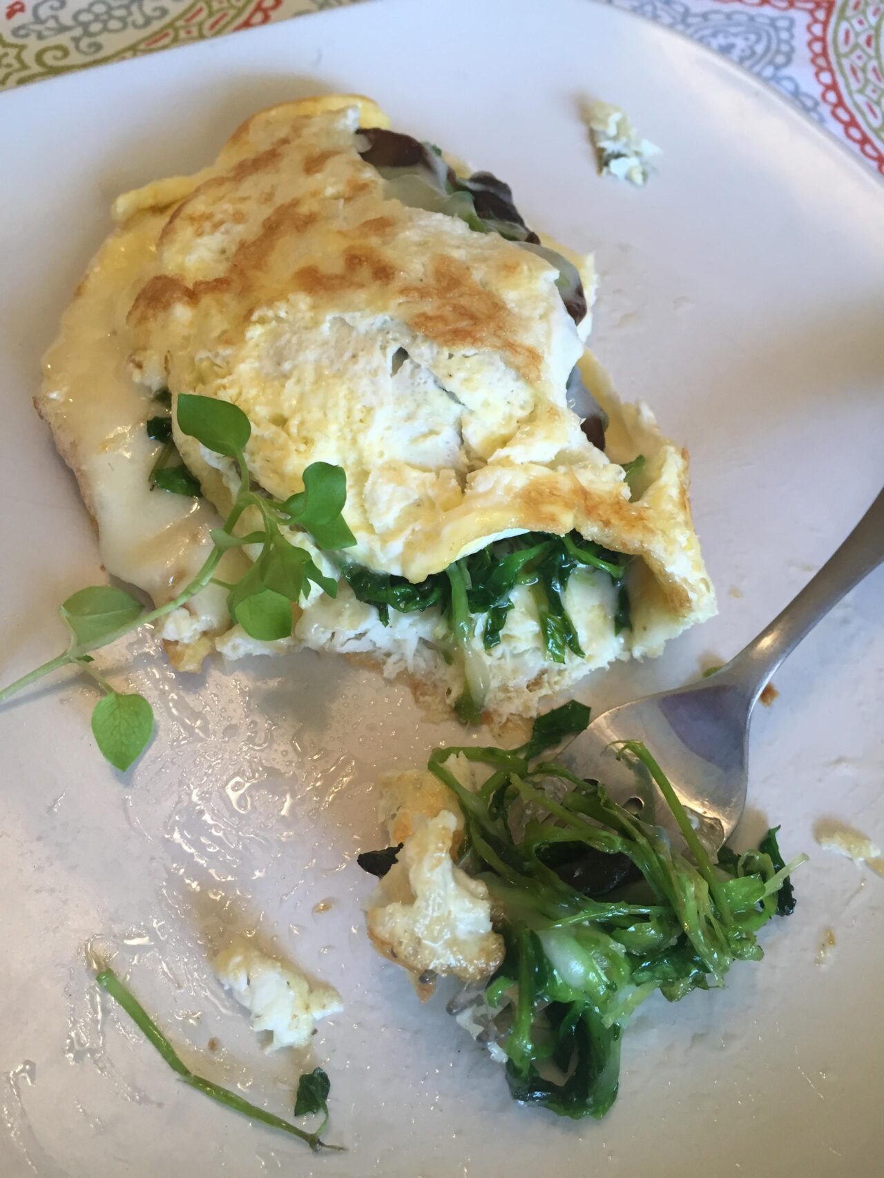 Native Foodways of the Piedmont | Foragable Community