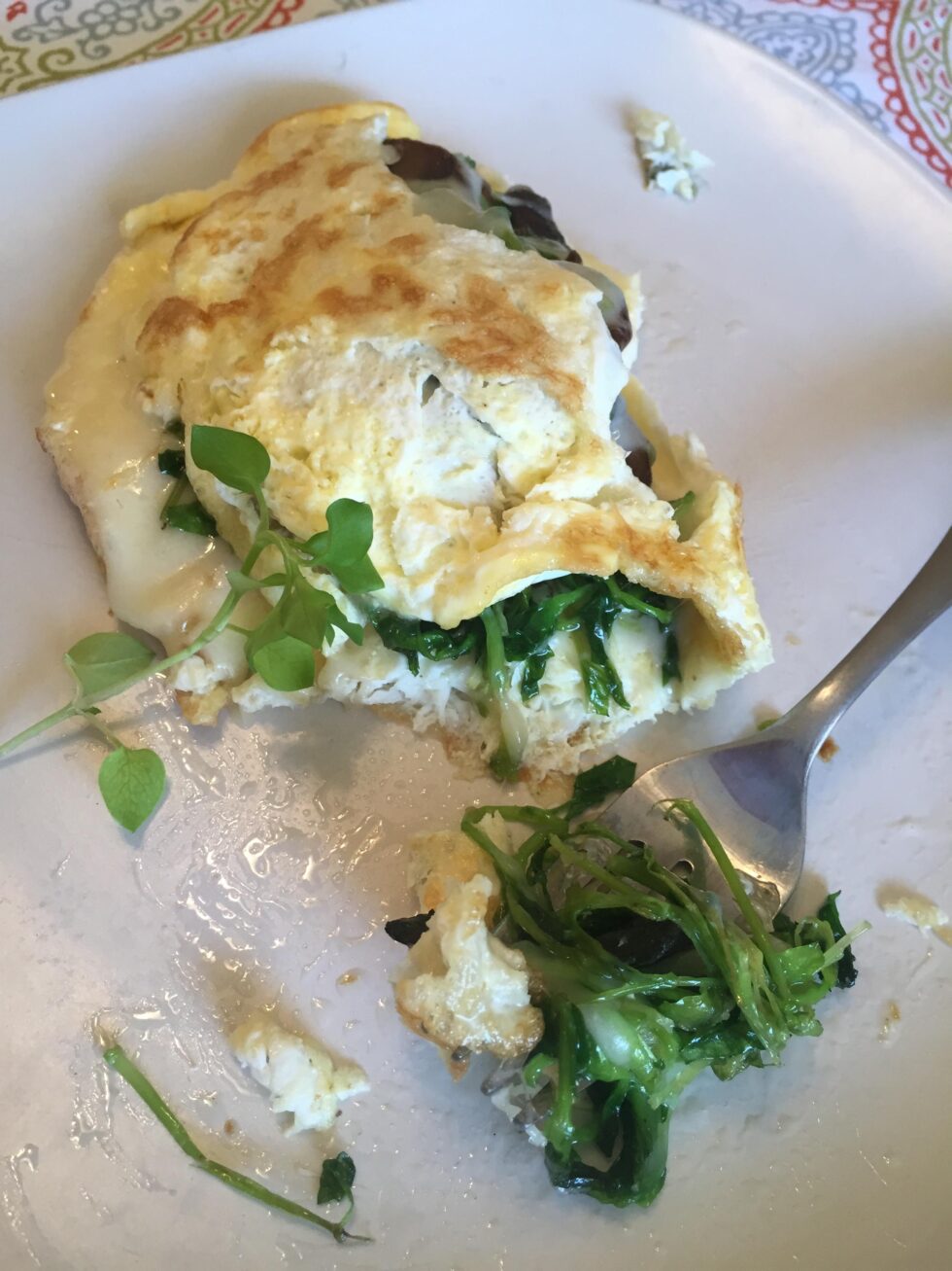 Native Foodways of the Piedmont | Foragable Community